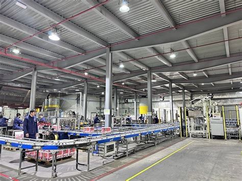 China Customized Robotic Case Packer And Palletizer Manufacturers Factory Good Price