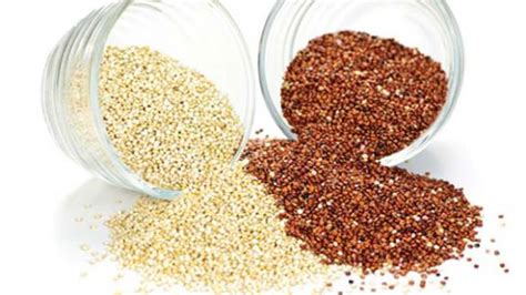 Your Essential Quinoa Recipe Guide Delicious Living