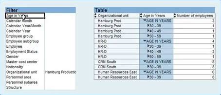 Learn The SAP BW BEX Analyser