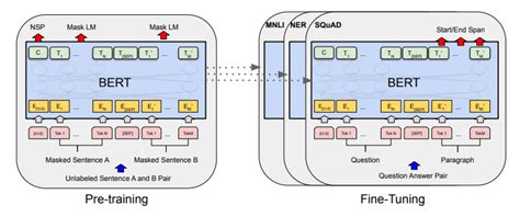 The Rise Of BERT AI The Model Redefining Natural Language Processing InfinityCodeX