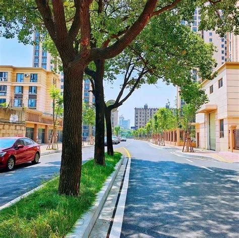 南昌两条“断头路”已通车！南昌市新浪新闻
