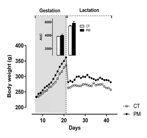 Effect Of Pm Treatment During Gestation And Lactation On The Biometric