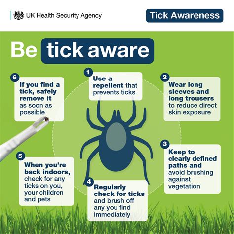 Tick Tock Its Time For Tick Bite Prevention Week 2025 Warwickshire