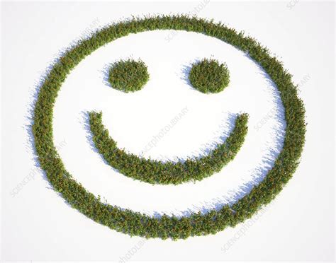 Grass Smiley Face Artwork Stock Image F0063785 Science Photo