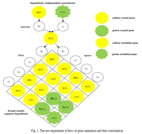 李超 Research on a novel configuration synthesis method of no spin traction continuously variable