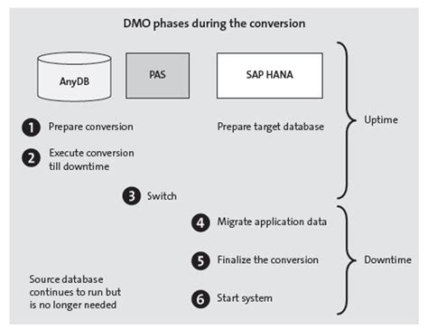 sap s 4hana conversion what is the software update manager