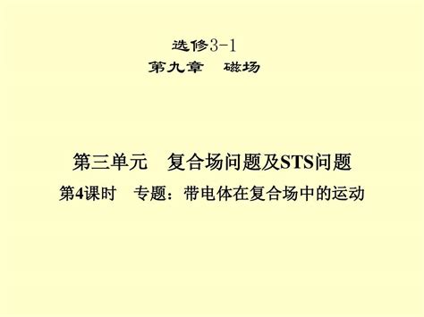 2013高考一轮复习优秀课件：第九章磁场第三单元 第4课时word文档在线阅读与下载无忧文档