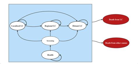 Figure Diagram Of Markov Model Lc Lung Cancer Download Scientific Diagram