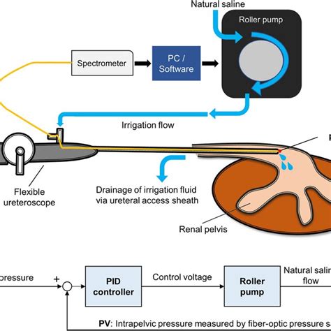 The Concept Of Automatic Irrigation System A Scheme Of The Entire Download Scientific