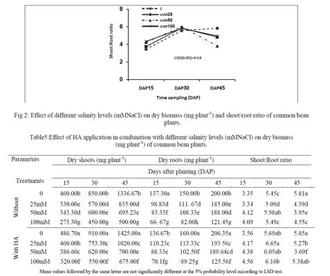 A Single Stage Power Factor Correction For Single Phase Ac Dc Converter Open Access Journals