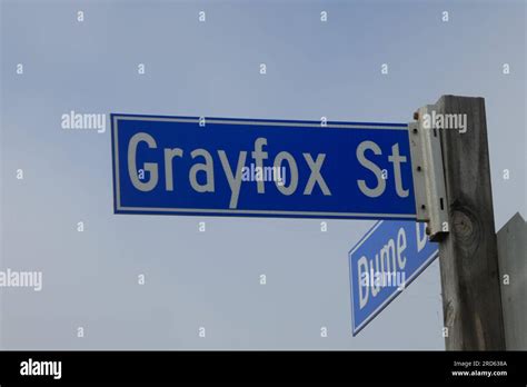 Malibu California Usa 16th July 2023 Grayfox Street Former Homes
