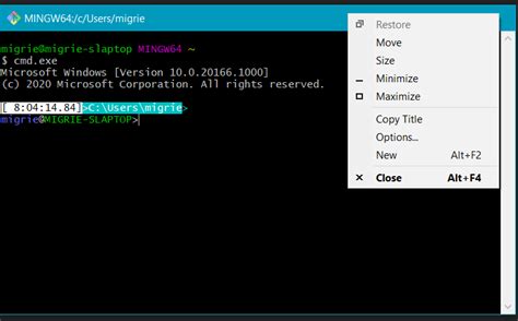 Error 0xd0000022 When Launching Any Shell Ps Cmd Git Bash Ps7 Azure Cloud Shell In Wt