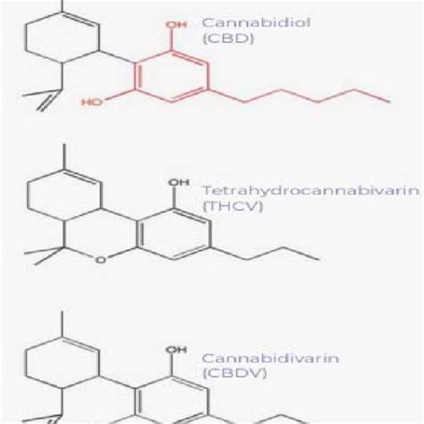 Five Common Phytocannabinoids 54 Download Scientific Diagram