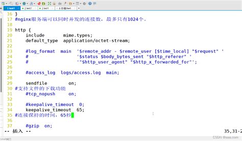 深入解析：高性能轻量级web服务器nginx的功能与配置 Csdn博客