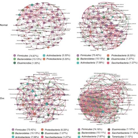 Microbiome Network Nodes Represent Genera Node Size Represents