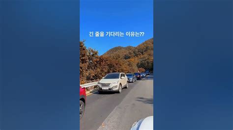 주말에 긴 줄을 기다리는 이유 오픈런 성공 Youtube