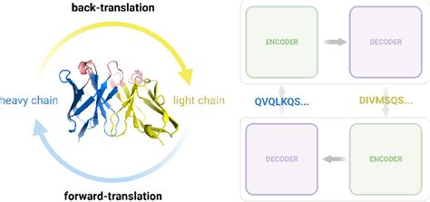 Conditional Generation Of Paired Antibody Chain Sequences Through