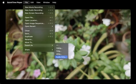 How To Extract The Audio From Any Video Guide For All Devices