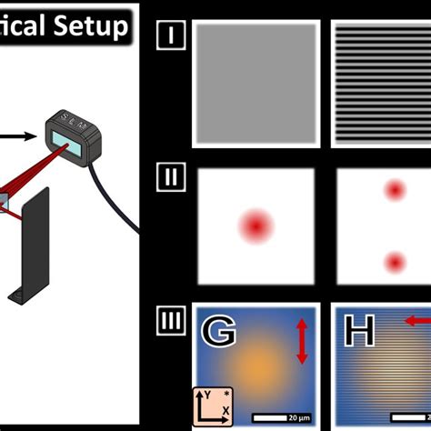 Left Experimental Setup Abbreviations Half Wave Plate Hwp Linear