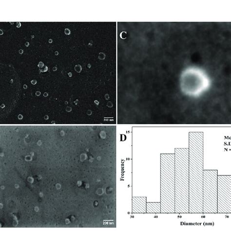 Heat Inactivated Delta Variant Sem Micrographs Of Sars Cov 2 A B