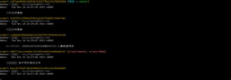 git因文件过大导致提交失败解决方案 git push 文件过大 csdn博客