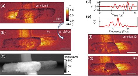 Figure 2 From Visualizing Heterogeneous Dipole Fields By Terahertz Light Coupling In Individual