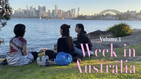 ️ 여행 Vlog 서퍼스 파라다이스 골드코스트 And 맥주 와인 천국 시드니v1 Youtube