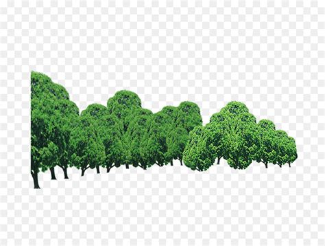 217 Background Hutan Png Pics MyWeb