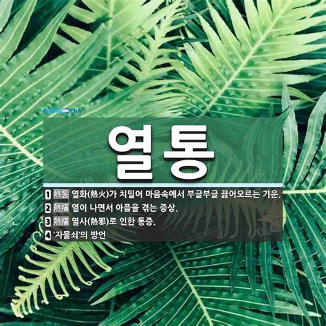 열통 뜻 열화熱火가 치밀어 마음속에서 부글부글 끓어오르는 기운 열이 나면서 아픔을 겪는 증상 국어 사전