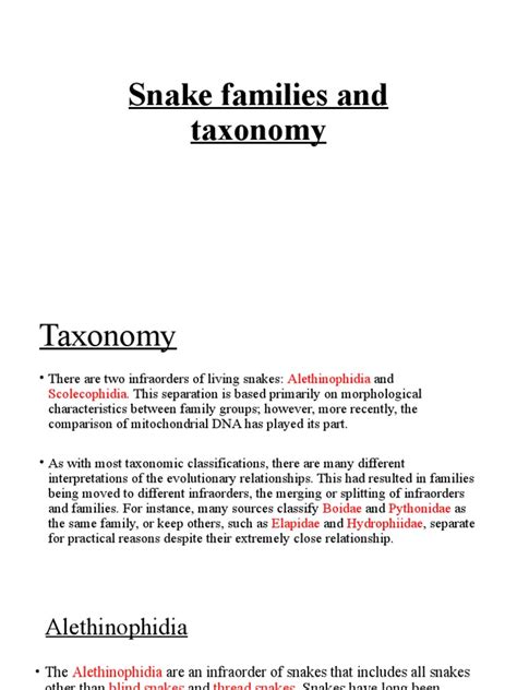 Snake Families And Taxonomy Pdf Snake Taxonomy Biology