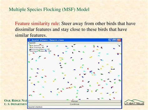 PPT A Distributed Agent Implementation Of Multiple Species Flocking Model For Document
