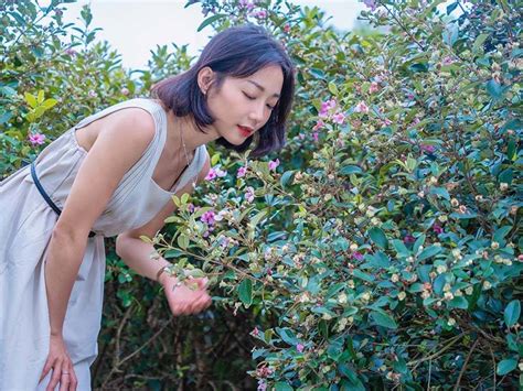 桃園粉紅傘海「桃金孃節」618亮麗登場！diy活動趣味好拍！ 台灣旅行趣 Line Today