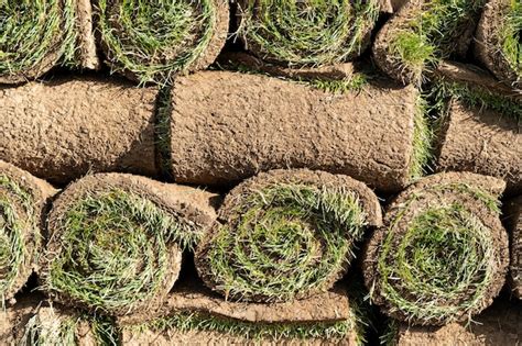 Premium Photo Stack Of Rolled Lawns Made Of Fresh Green Grass
