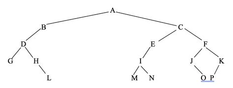 Solved Perform A Postorder Traversal Of The Tree Diagrammed