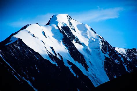 Uuriintuya Zunduijamts On Twitter Өглөөний мэндээ Миний Монгол 🇲🇳 Мөчит дөрвөн хөлтний мөр нь