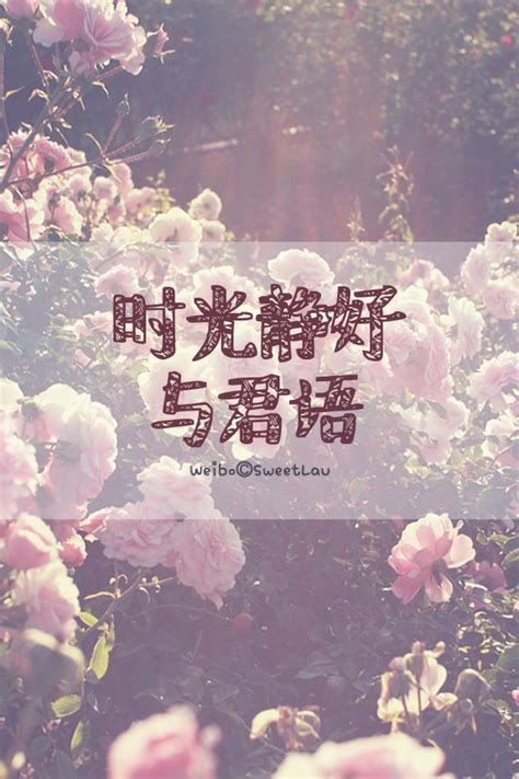 小飞象章鱼w的堆糖个人主页