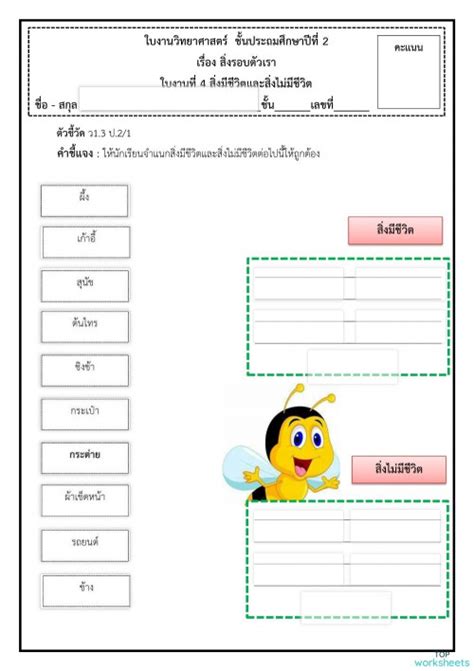 3 สิ่งมีชีวิตและสิ่งไม่มีชีวิต ใบงานเชิงโต้ตอบ Topworksheets