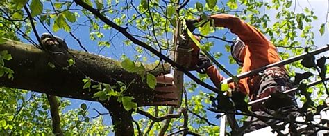Cherry Picker Mewp Hire Derbyshire