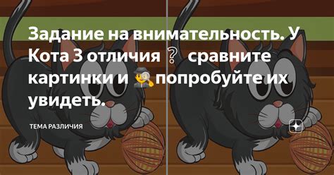 Задание на внимательность У Кота 3 отличия сравните картинки и 🕵️‍♂️
