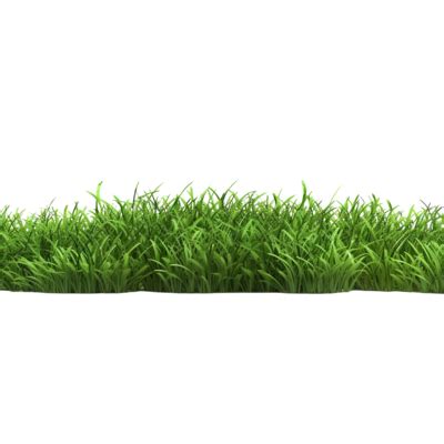Grass Texture PNGs For Free Download
