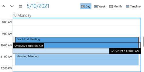 Snapping Appointments Telerik Ui For Winui