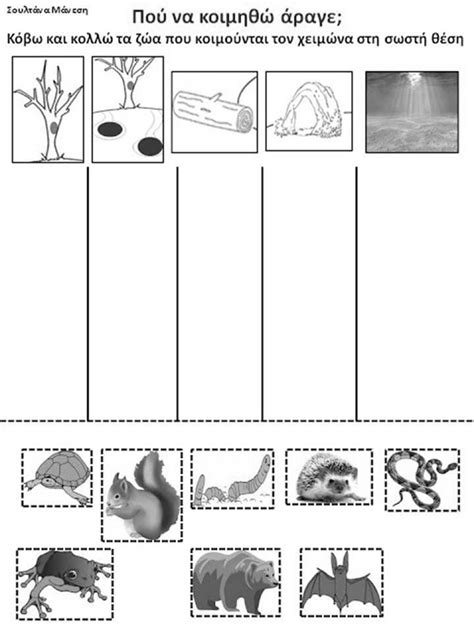 Δραστηριότητες παιδαγωγικό και εποπτικό υλικό για το Νηπιαγωγείο Τα ζώα στο Νηπιαγωγείο Ζώα