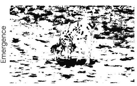 Feature Distribution Matching For Federated Domain Generalization By Yuwei Sun Medium