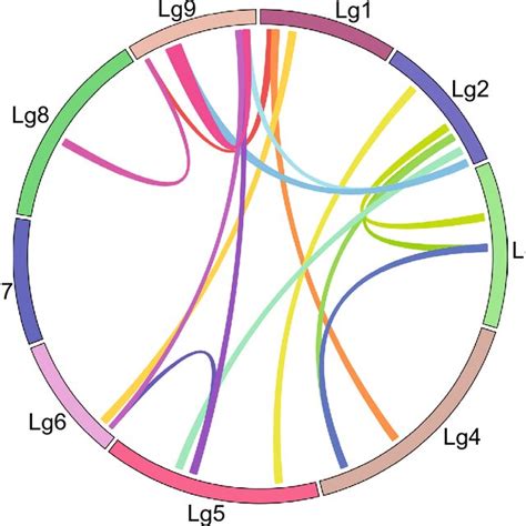 Distribution Of Segmentally Duplicated AP2 ERF Genes On L Sativa Download Scientific Diagram