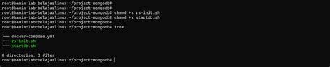 Docker Cara Membuat Replikasi Mongodb Menggunakan Docker Compose