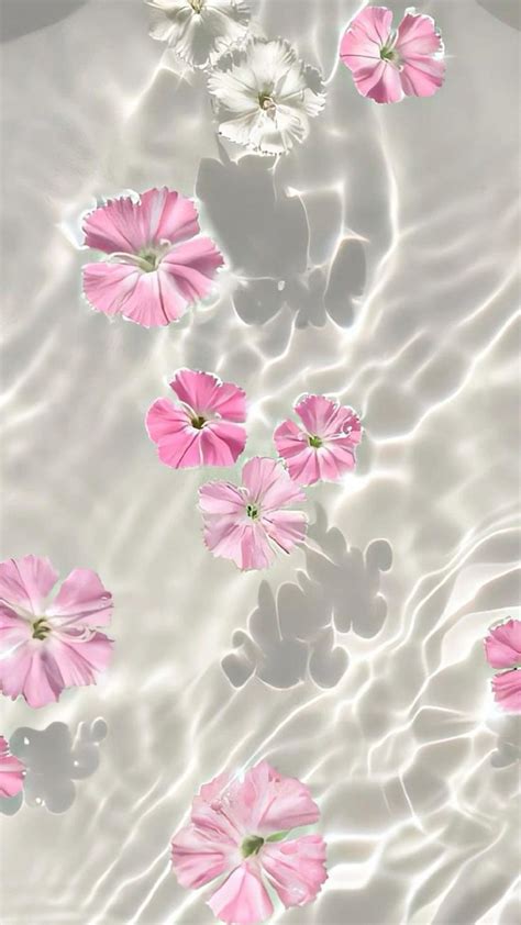 Pink And White Flower Aesthetic Wallpaper