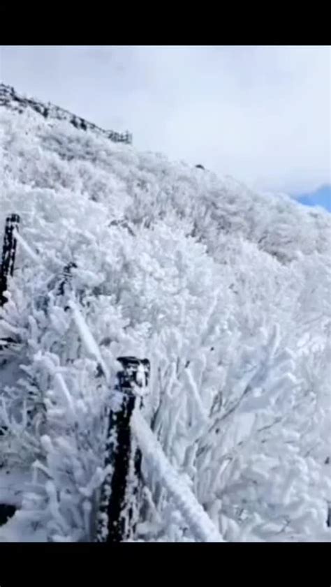 박현숙 아름다운 우리강산 대둔산 설경~~~♡ 대둔산 대둔산도립공원 설경 여명 일출 명품소나무 상고대 풍경사진 산사진 사진힐링 산사랑 산악사진가에스더