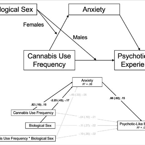 A Conceptual Model Of The Conditional Process Moderated Mediation Download Scientific