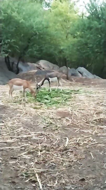 It Is Raining Here If You Are Also Experiencing Rain Then Write In The