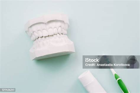 인공 턱 모델 및 칫솔 제대로 치아를 닦는 방법의 개념 대나무 칫솔은 파란색 배경에 놓여 있습니다 개념에 대한 스톡 사진 및 기타 이미지 Istock
